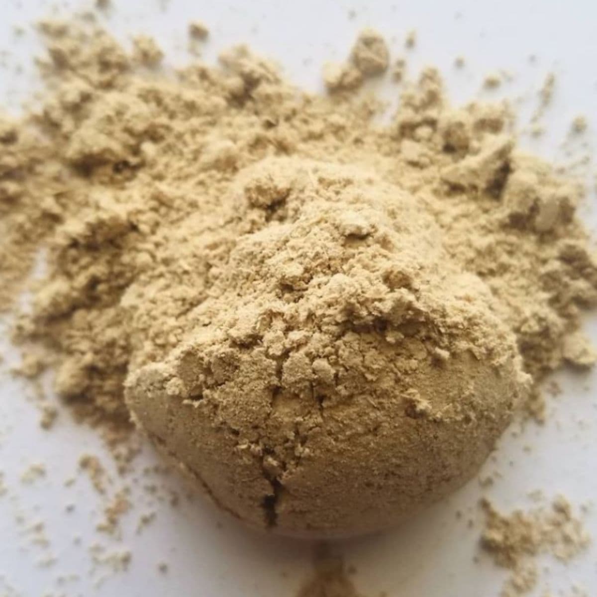 Basal Root | Temotu Single Cultivar Kava | Art of Kava